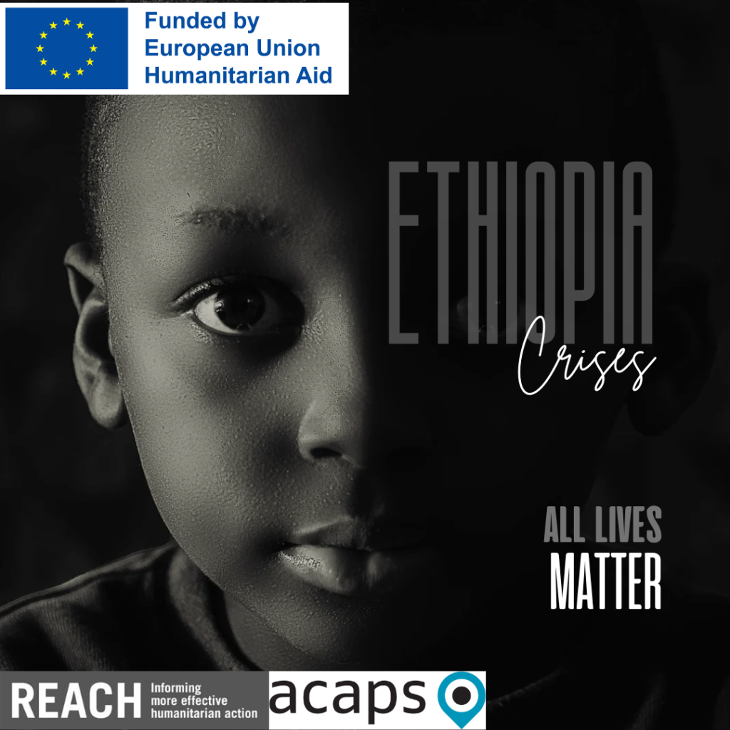 Capacity Building - 3iSolution