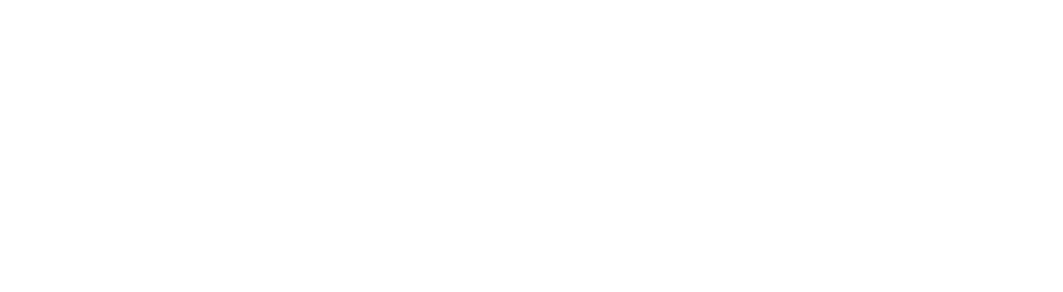 Information management capacity-building and technical support to the ...